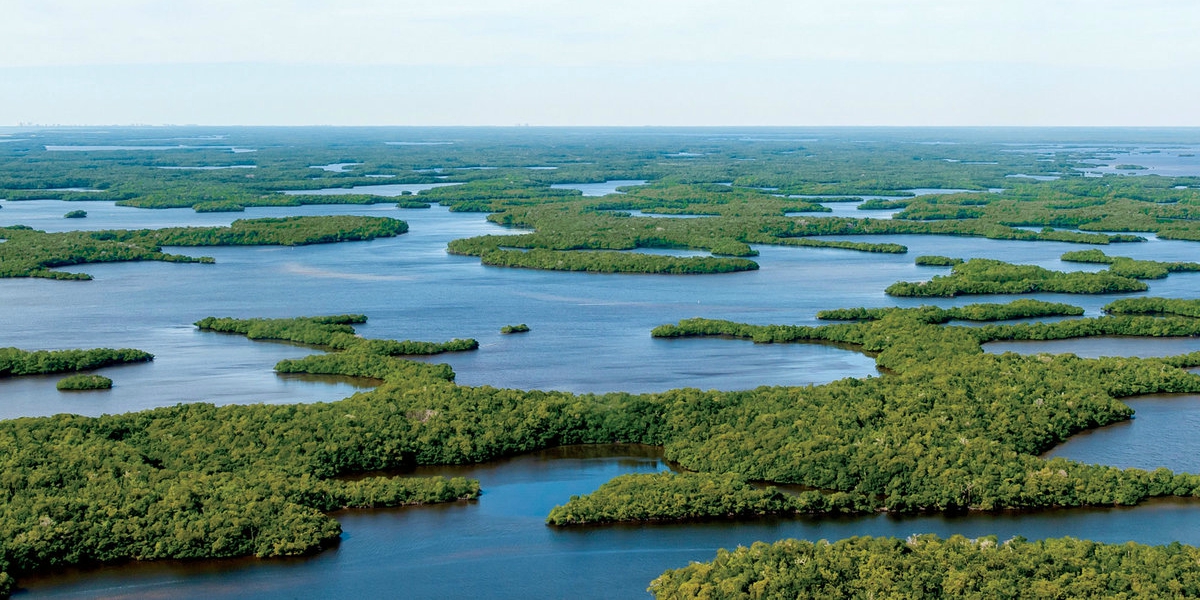 Environmental Issues in Florida